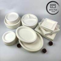 China Custom Sugarcane Bagasse Meal Biodegradable Food Containers Eco Friendly for sale