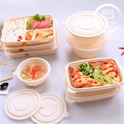 China Eco Friendly Disposable 2 Layer Lunch Box Biodegradable Compostable Food Container 500ml for sale