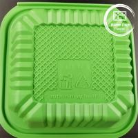 China Eco Friendly Disposable 2 Layer Lunch Box Biodegradable Compostable Food Container 500ml for sale