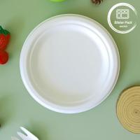 China Biodegradable 2 Compartment Sugarcane Bagasse Bento Box 100% Compostable Takeaway Food Container for sale
