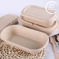 China Biodegradable 2 Compartment Sugarcane Bagasse Bento Box 100% Compostable Takeaway Food Container for sale