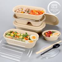 China Biodegradable 2 Compartment Sugarcane Bagasse Bento Box 100% Compostable Takeaway Food Container for sale