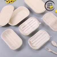 China Take Away Lunch Recyclable Food Containers Biodegradable Sugarcane Bagasse for sale