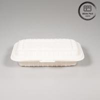 China 600ml Biodegradable Disposable Food Containers Eco-Friendly Lunch Box With Lid for sale