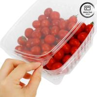 China 8oz Reusable PET Eco Friendly Salad Packaging Premium Salad Container For Lunch for sale