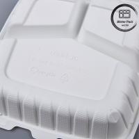 China Disposable Transparent Plastic Clamshell Takeout Containers for Restaurants Leakproof Design for sale
