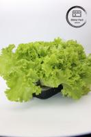 China Custom Artificial Garden Vegetables Fruits Plastic Seedling Tray Durable Display 15 Years Experience for sale