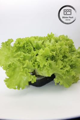 China Custom Artificial Garden Vegetables Fruits Plastic Seedling Tray Durable Display 15 Years Experience for sale
