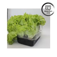 China Custom Artificial Garden Vegetables Fruits Plastic Seedling Tray Durable Display 15 Years Experience for sale