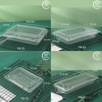 China Custom Transparent Disposable Fruit Container - Plastic PET Tray For Fresh Produce Storage for sale