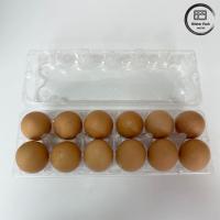 China Reusable PET Plastic Chicken Egg Tray 12 Count Thermoforming Blister Pack for Storage and Transport for sale