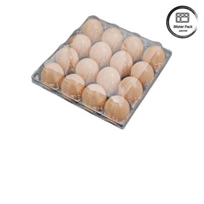 China 20 24 30 Cell PET Clear Plastic Egg Blister Tray with Lid for Chicken Quail Eggs Packaging for sale