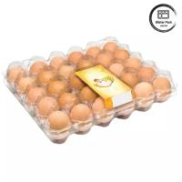 China Customized Size PET Egg Blister Tray Disposable Vacuum Formed Plastic Trays for sale