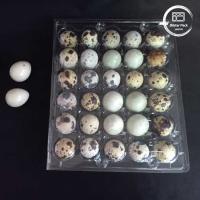 China Clear Quail Egg Blister Tray With 30 Holes Affordable Bulk Egg Packaging for sale