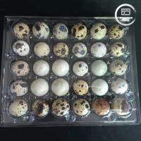 China Clear Quail Egg Blister Tray With 30 Holes Affordable Bulk Egg Packaging for sale