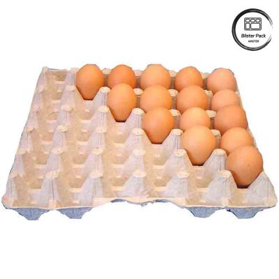 China Biodegradable Molded Paper Egg Tray Cartons Recyclable Quality Packaging With 30 Holes for sale
