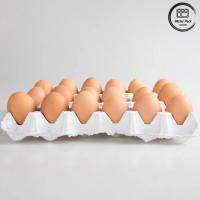 China Biodegradable Recycled Paper Egg Tray 30 Holes Customizable Eco Friendly Egg Storage for sale
