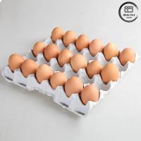 China Biodegradable Recycled Paper Egg Tray 30 Holes Customizable Eco Friendly Egg Storage for sale