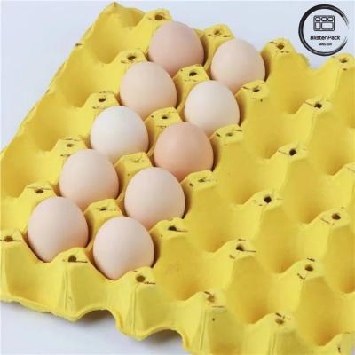 China Biodegradable Recycled Paper Egg Tray 30 Holes Customizable Eco Friendly Egg Storage for sale
