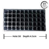 China Durable 200 Hole Plastic Seedling Nursery Tray Starter Pot for Efficient Plant Growth for sale