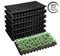 China 72 Hole Seedling Raising Plastic Tray 54x28cm Eco Friendly Indoor Plant Cultivation for sale