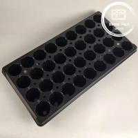 China 185g 36 Cell Round Honeycomb Succulent Seedling Tray Durable PE 54x28cm for Nursery for sale