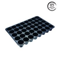China Versatile Germination Plastic Seed Starting Trays In 32 To 288 Cells for Vegetable for sale
