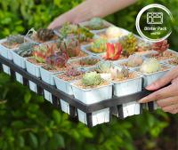 China 24 Hole Durable Plastic Planter Tray for Succulent Nursery Cultivation for sale
