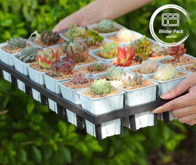 China 24 Hole Durable Plastic Planter Tray for Succulent Nursery Cultivation for sale