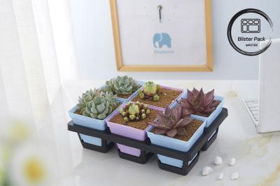China Multi Size Plastic Seedling Trays 6 12 20 24 40 Cells Durable Reusable for Gardening for sale