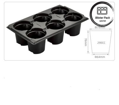 China 6 Cell Gardening Seedling Tray Plastic Nursery Starter Kit with Drain Holes for sale