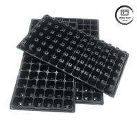 China Eco-Friendly Plastic Seedling Tray for Adenium Seeds 30 Cell Reusable for sale