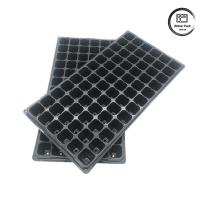 China Eco-Friendly Plastic Seedling Tray for Adenium Seeds 30 Cell Reusable for sale