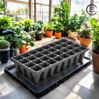 China 32 Cell Plastic Nursery Seed Tray Vacuum Formed PS Black Seedling Tray for Greenhouse for sale