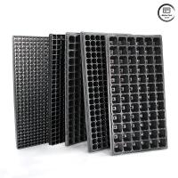 China Durable Plug Seed Trays 28 to 288 Cells for Plant Propagation Nursery Seedling Trays for sale