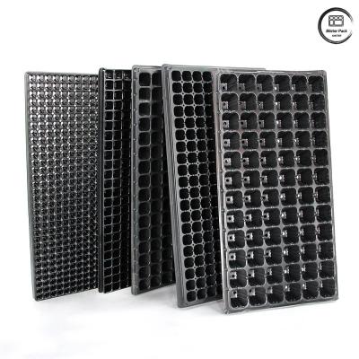 China Durable Plug Seed Trays 28 to 288 Cells for Plant Propagation Nursery Seedling Trays for sale