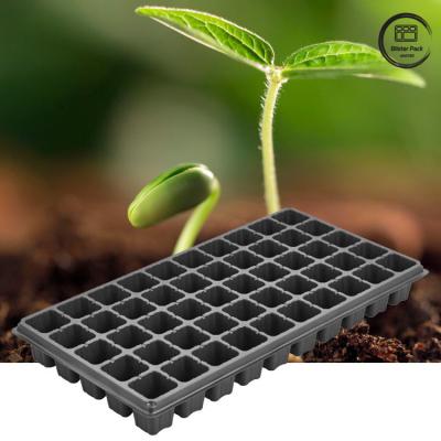 China 50 Hole Seedling Starter Tray Hard Plastic Nursery Propagation Tray 54x28x5 cm for Home Garden for sale