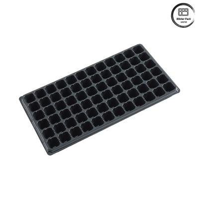 China Black PS 50-Cell Degradable Seedling Tray for Tree Planting Nursery Use for sale