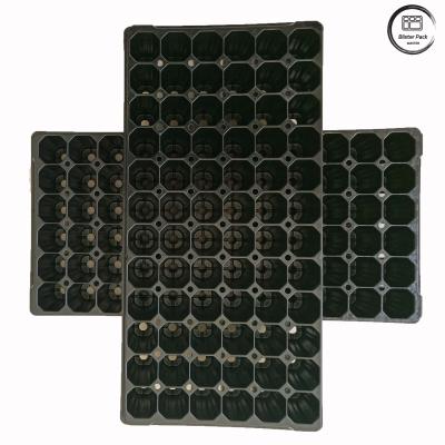 China Wholesale 72-Cell Plug Seedling Tray, Durable Plastic Trays for Sprouting and Propagation for sale