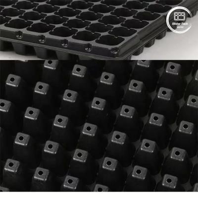 China Wholesale 50 Cell Deep Seedling Tray Durable Plastic Seed Sprouting Tray for Nursery Garden Planting for sale