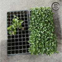 China 50 Cells Seeding Nursery Plug Tray Durable PS Material for Efficient Seedling Growth for sale
