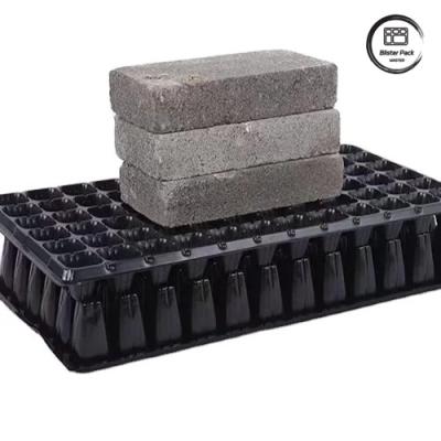 China 50 Cells Seeding Nursery Plug Tray Durable PS Material for Efficient Seedling Growth for sale