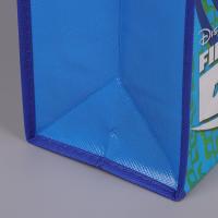 China 34x40cm Eco Friendly Non Woven Shopping Bag Reusable 70-140gsm Custom for sale