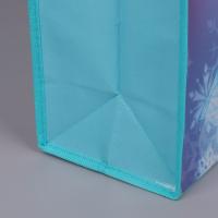 China Customizable Heat Transfer Printing Foldable PP Non Woven Tote Bag 15-30lb Capacity for sale