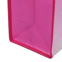 China 15kg Heavy Duty Non Woven Grocery Bags Custom Size Eco Friendly PP Tote for sale