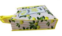 China Customized 80gsm PP Non Woven Bag Waterproof Laminated Shopping Tote with Handles for sale