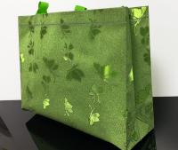 China 60gsm Green Shining Non Woven Fabric Carry Bags Custom Size Eco Friendly Shopping Tote for sale