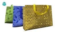 China 60gsm Green Shining Non Woven Fabric Carry Bags Custom Size Eco Friendly Shopping Tote for sale