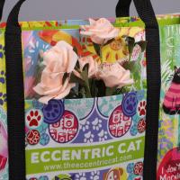 China Cartoon Printed Foldable Shopping Carry Bag 42x14x33cm Polypropylene Reusable Grocery Tote for sale