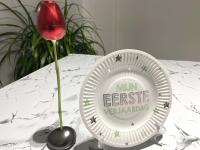 China 10 inch Pantone Color Biodegradable Paper Plates Disposable Eco Friendly Party Dinnerware 250 400gsm for sale